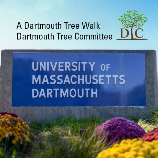 Park Here - Dartmouth Tree Walk Tour #2: UMASS Dartmouth Campus ...