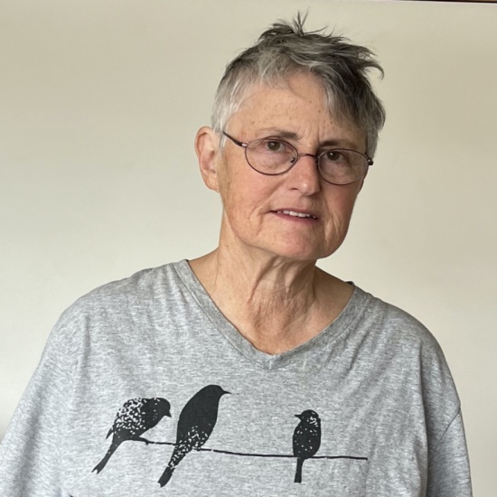 #46 Susan Strauss - 2024 August Artists - PocketSights