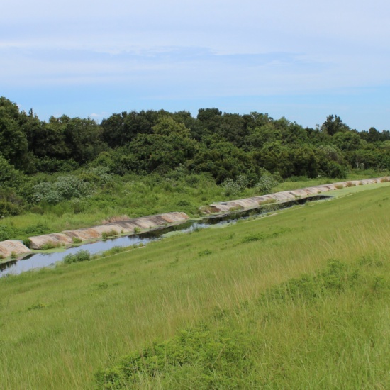 Purpose of the Berms - Se7en Wetlands Gopher Tortoise Tour - PocketSights