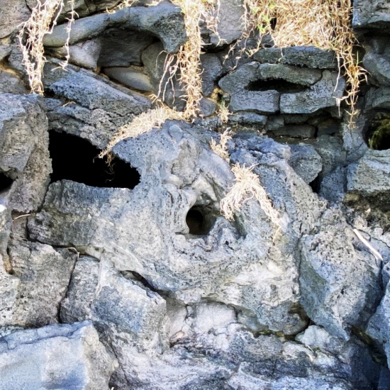 Lava Flows and Lake Pupuke Drains - Takapuna's Golden Mile Walk ...