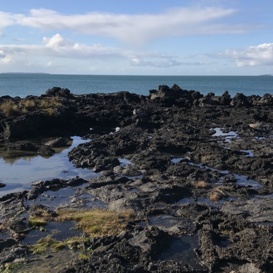 Lava Flows and Lake Pupuke Drains - Takapuna's Golden Mile Walk ...