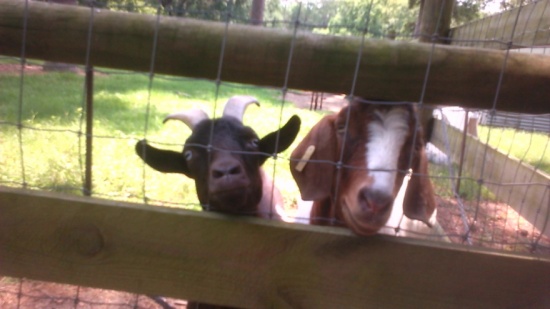 Tour - Wunderlich Farm Interactive History Park - PocketSights