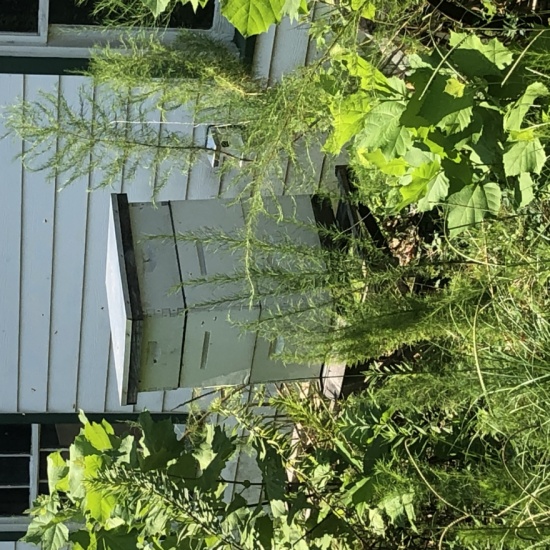 Tour - Wunderlich Farm Interactive History Park - PocketSights