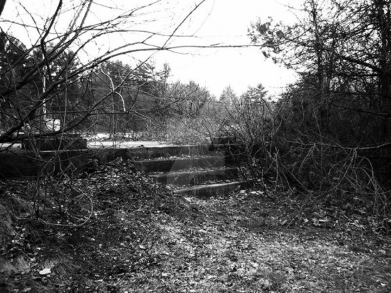 Old Tyng Mansion - Tyng Mansion Dendrology Tour - PocketSights