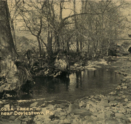 Tour - Cuttalossa - PocketSights