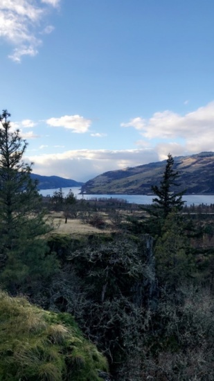 Rowena Crest viewpoint - Along The Columbia River - PocketSights