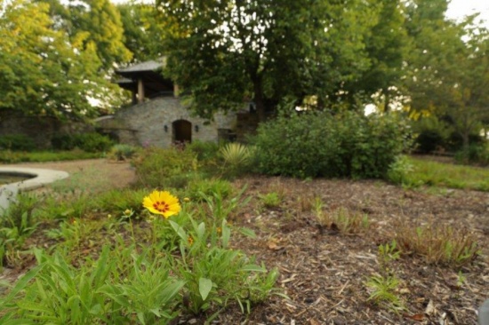 Shi Institute For Sustainable Communities Furman Reflective Walk 