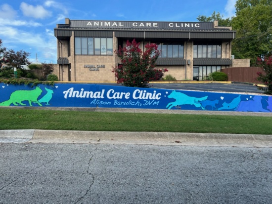 Animal Care Clinic Mural - Branson Downtown Mural Art Walk - PocketSights