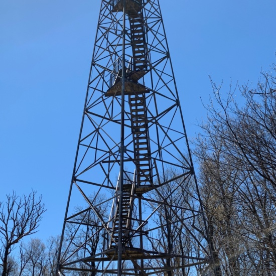Rock Rift Fire Tower - History along the Finger Lakes Trail - PocketSights