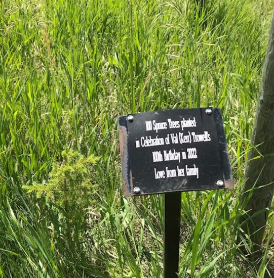 100 trees for 100 years - Saltcoats, Saskatchewan, Canada - PocketSights