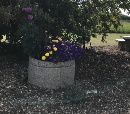 Blahey Mini Picnic Area - Saltcoats, Saskatchewan, Canada - PocketSights